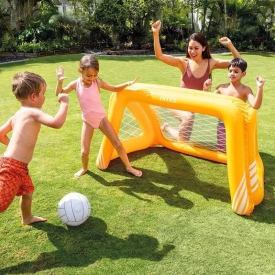Intex Fun Goals Game
