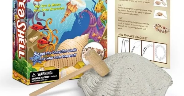 Shell Bracelet Dig Kit